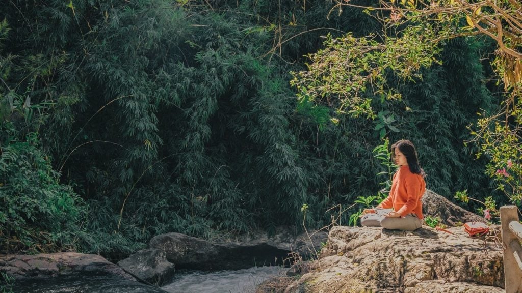 The Way To Live In Harmony With Nature » Brahma Kumaris | Official