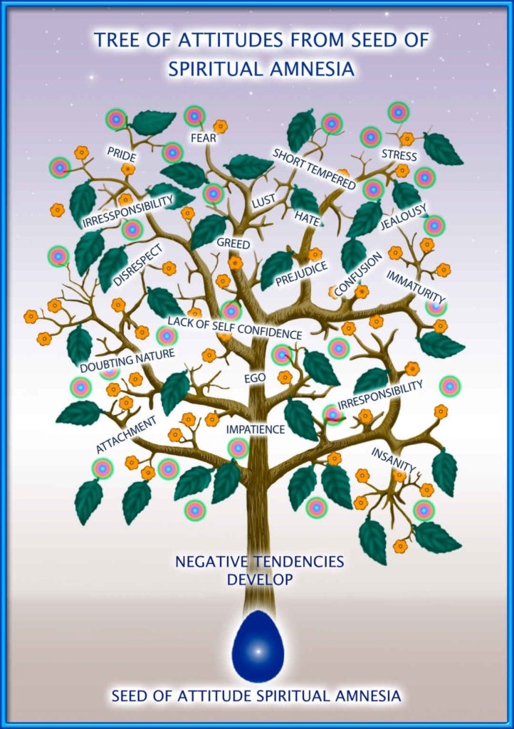 Soul Conscious Tree » Brahma Kumaris