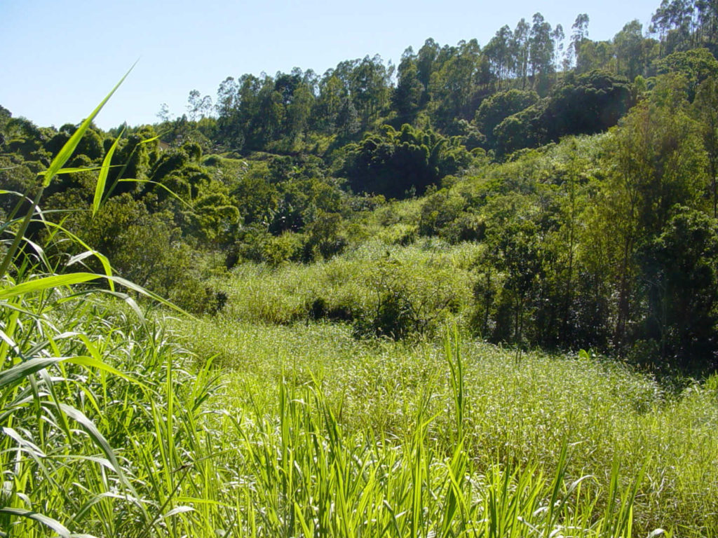 Serra Serena - Brazil » Brahma Kumaris