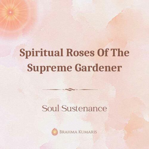 Spiritual Roses Of The Supreme Gardener » Brahma Kumaris